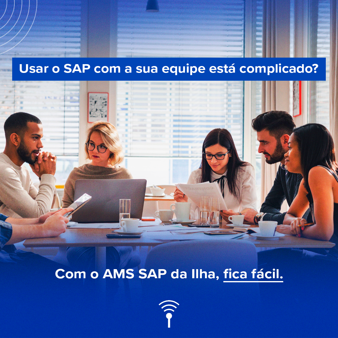 AMS SAP: Aproveite o máximo potencial do seu sistema SAP com este ...